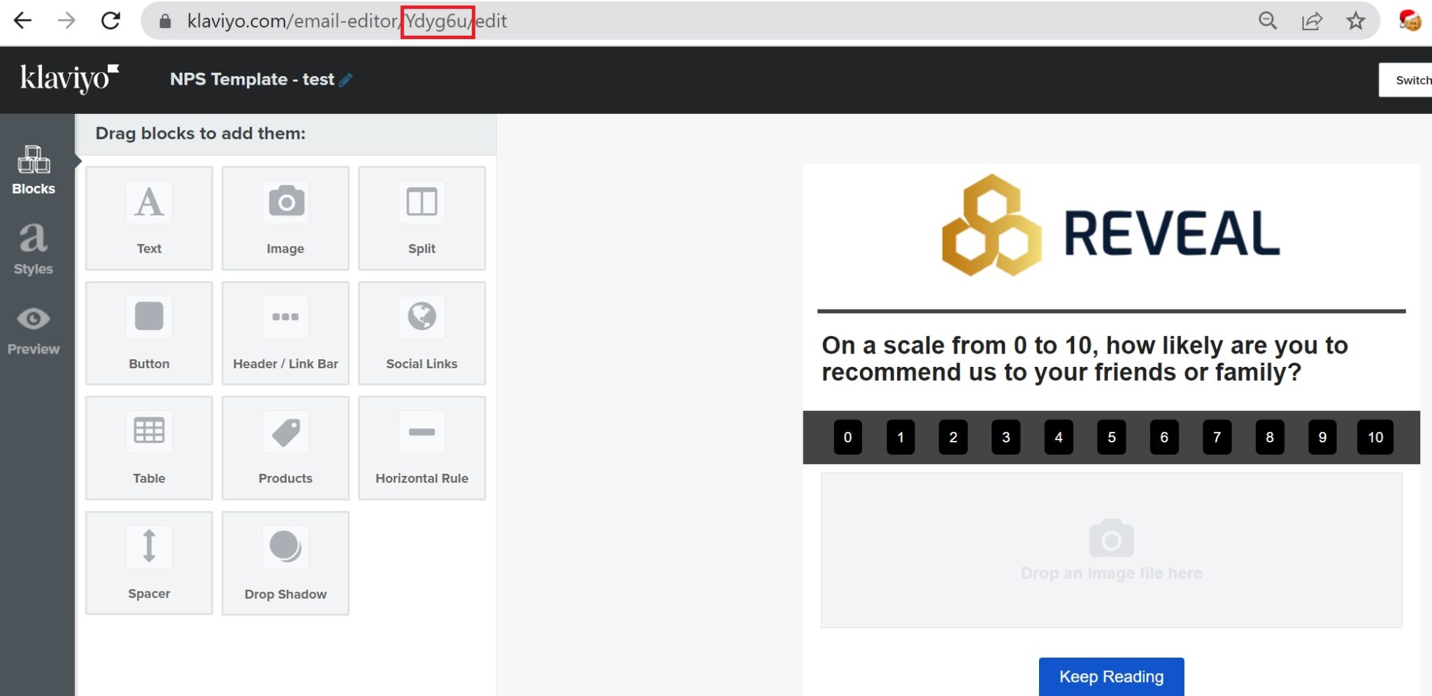 How to create a Klaviyo drag & drop template for NPS via Campaigns ...